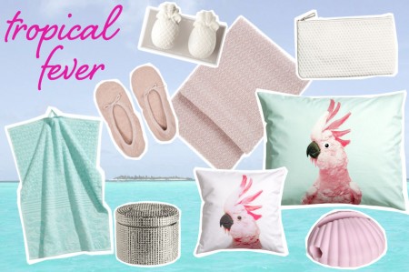 Tropical Fever – todayis.de